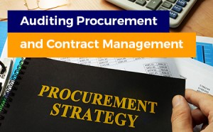 Auditing Procurement and Contract Management - Innoverto training ...