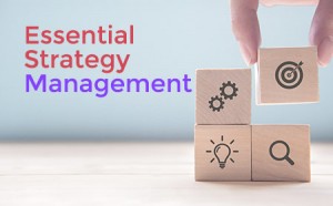 Essential Strategy Management - Innoverto training courses and events